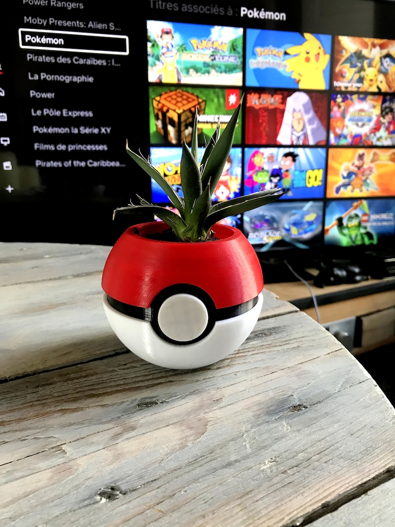Pot de fleur forme Pokemon Impression 3D - Etsy France