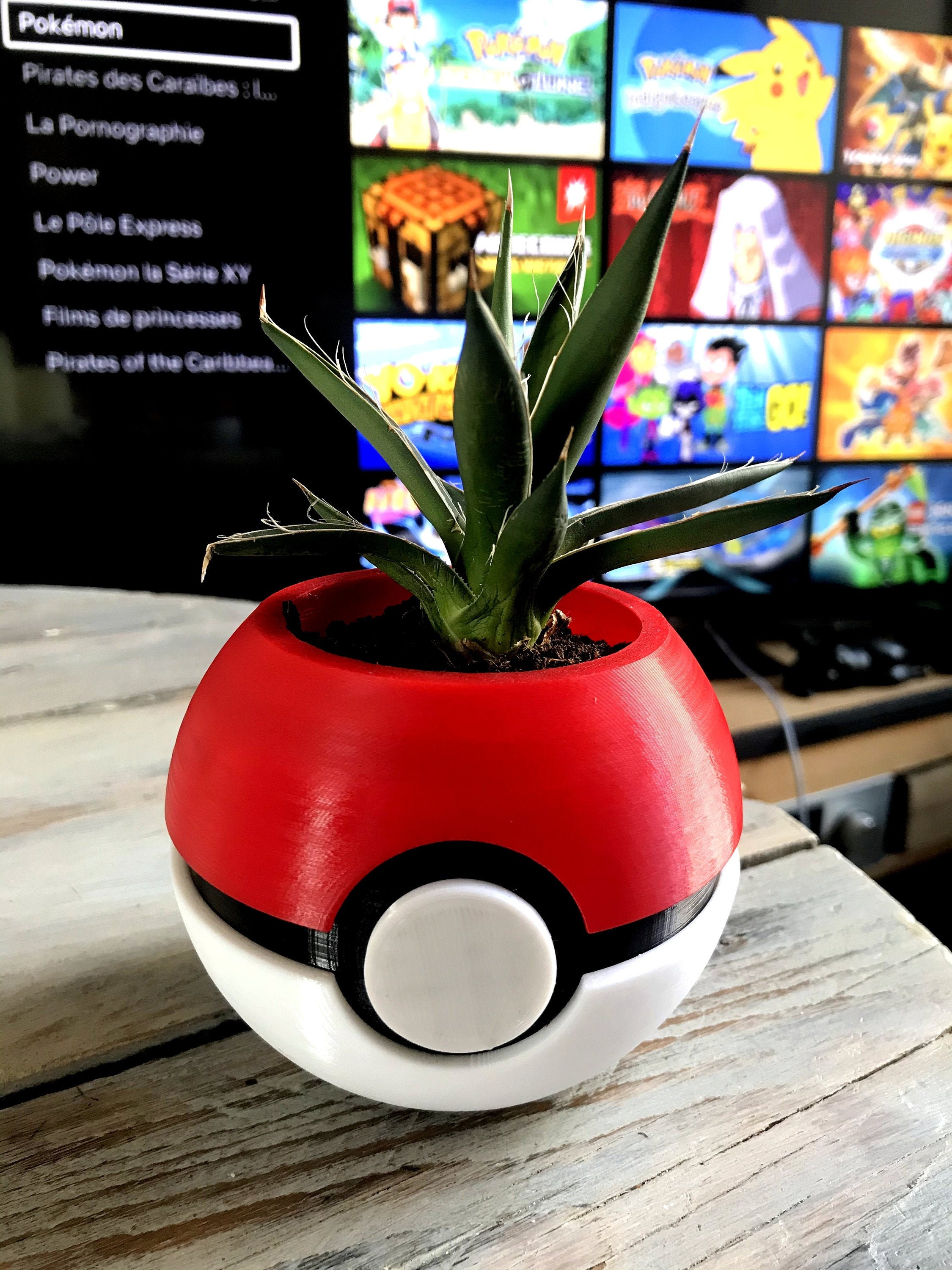 Pokemon Blumentopf 3D-Druck | Etsy