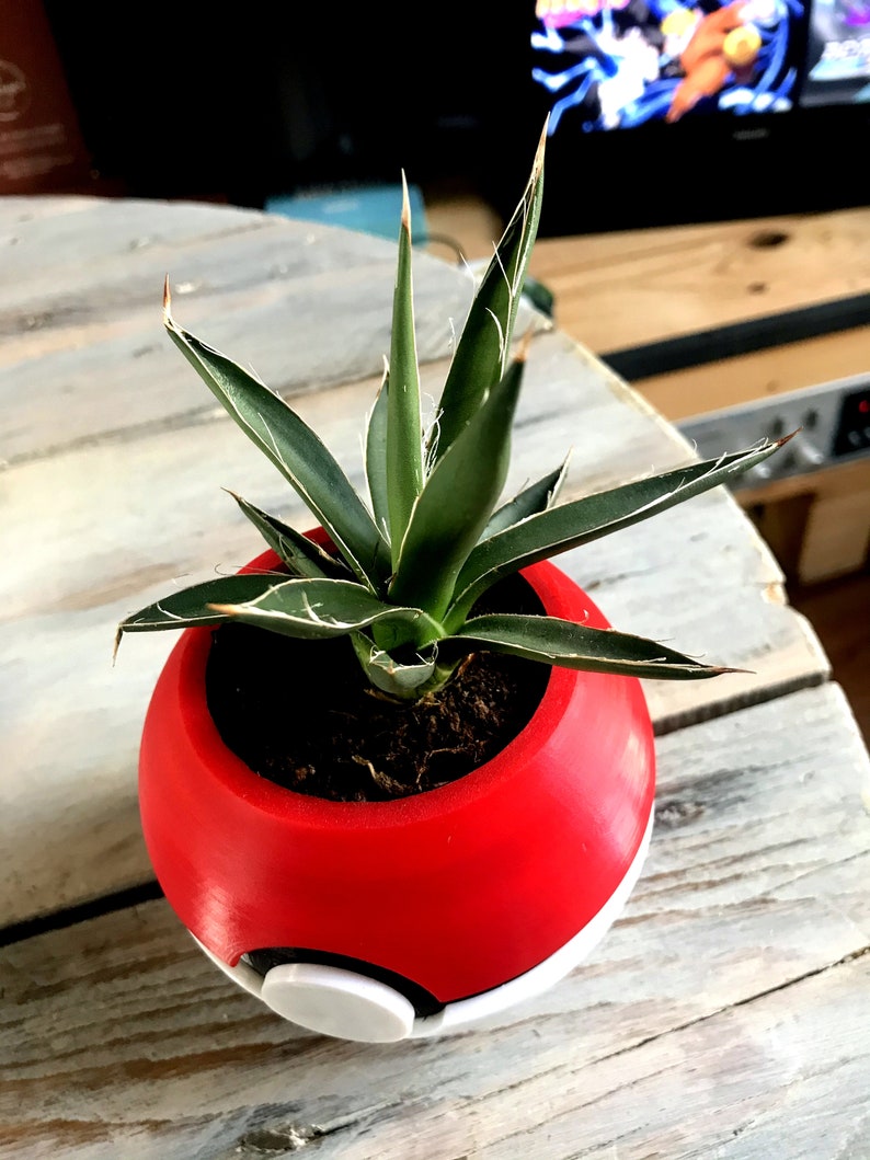 Pot de fleur forme Pokemon Impression 3D - Etsy France