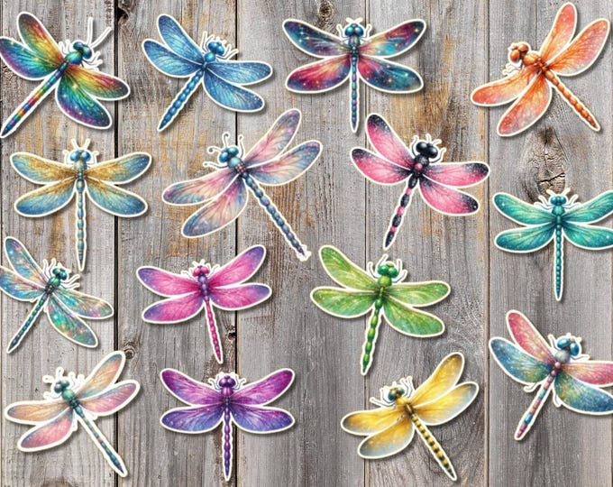 Art Nouveau Dragonfly Vinyl Sticker Beautiful Insect Decal for Laptops ...
