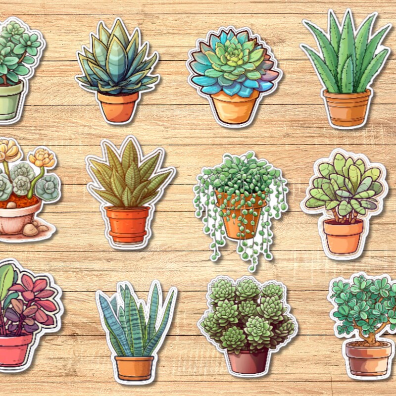 Plant Stickers - Etsy UK