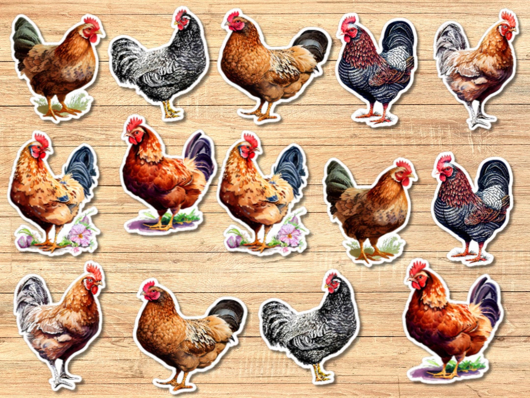 Set 14 Chicken Sticker Set Sticker Journal Laptop Sticker Planner Hens ...