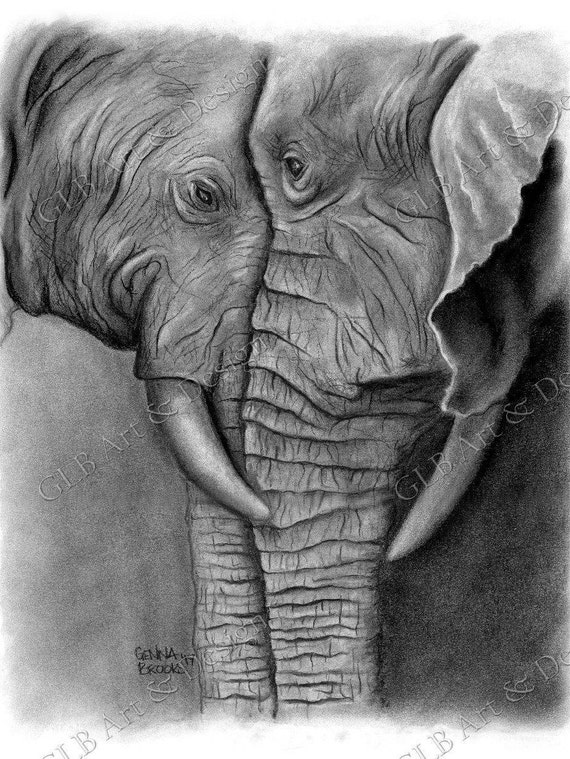 Charcoal Drawings Of Elephants