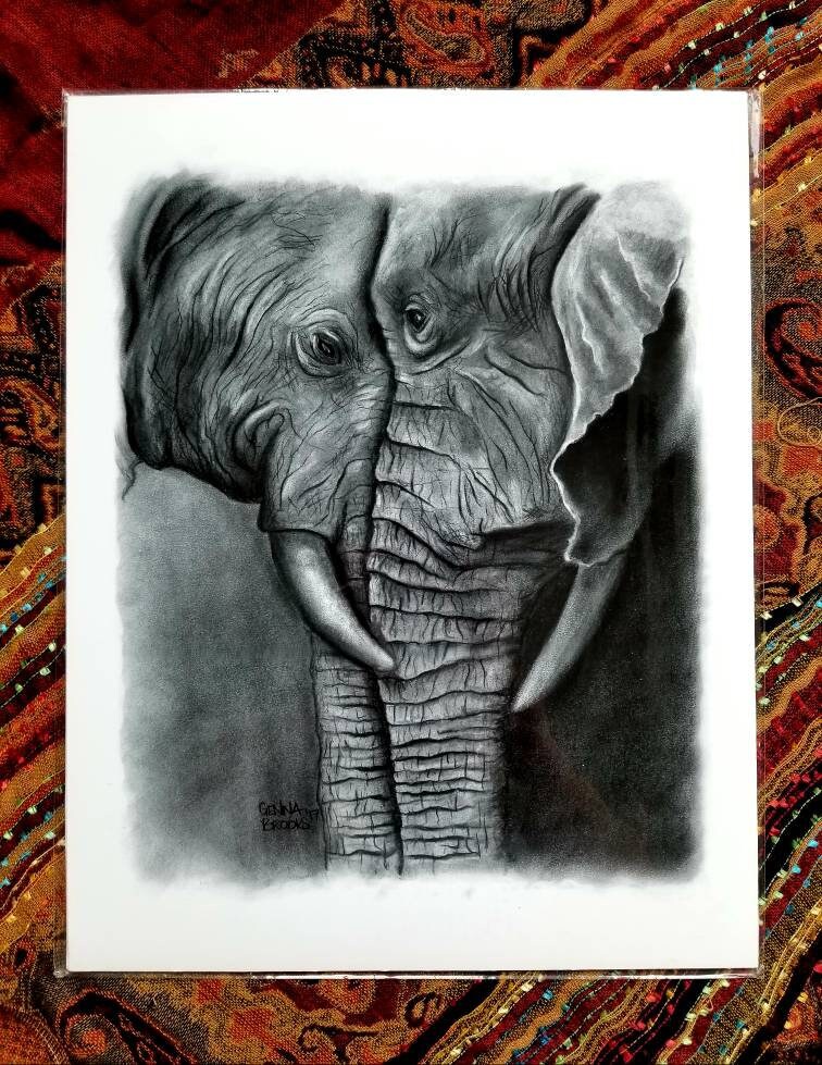 Charcoal Drawings Of Elephants