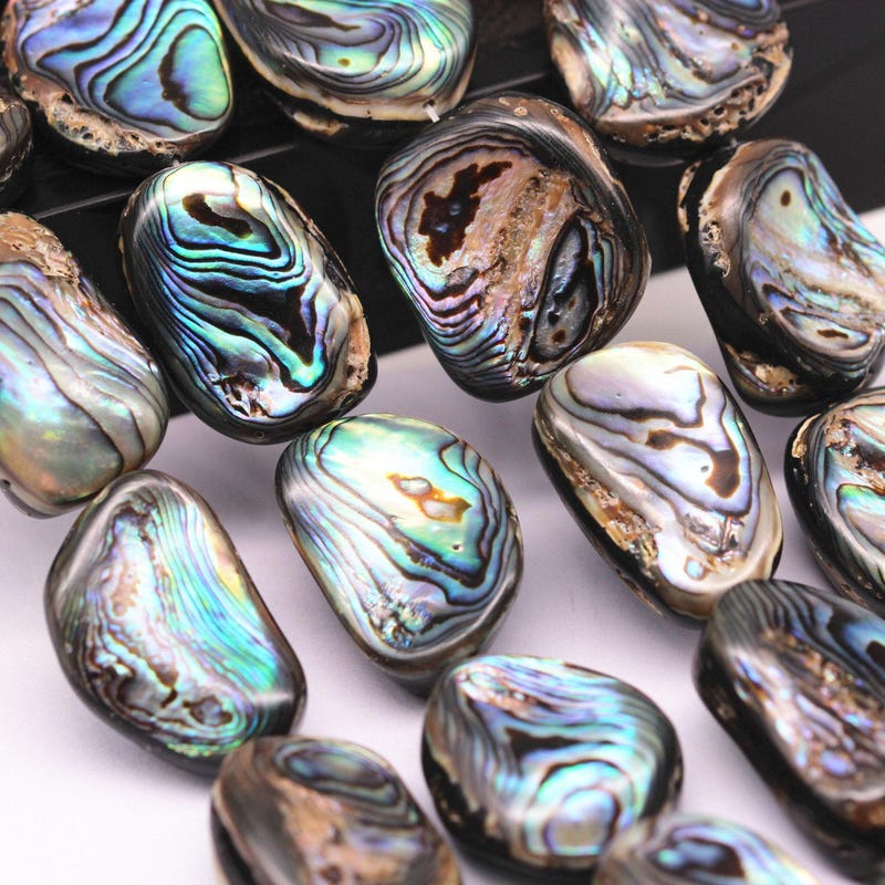 Abalone Shell Beads - Etsy