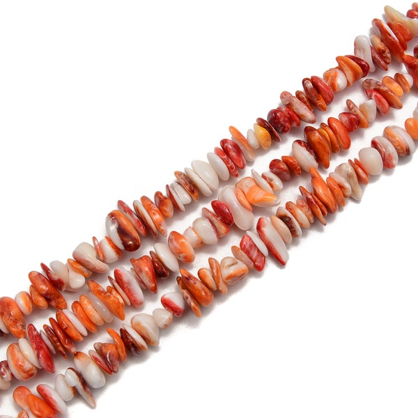Spiny Oyster Beads - Etsy