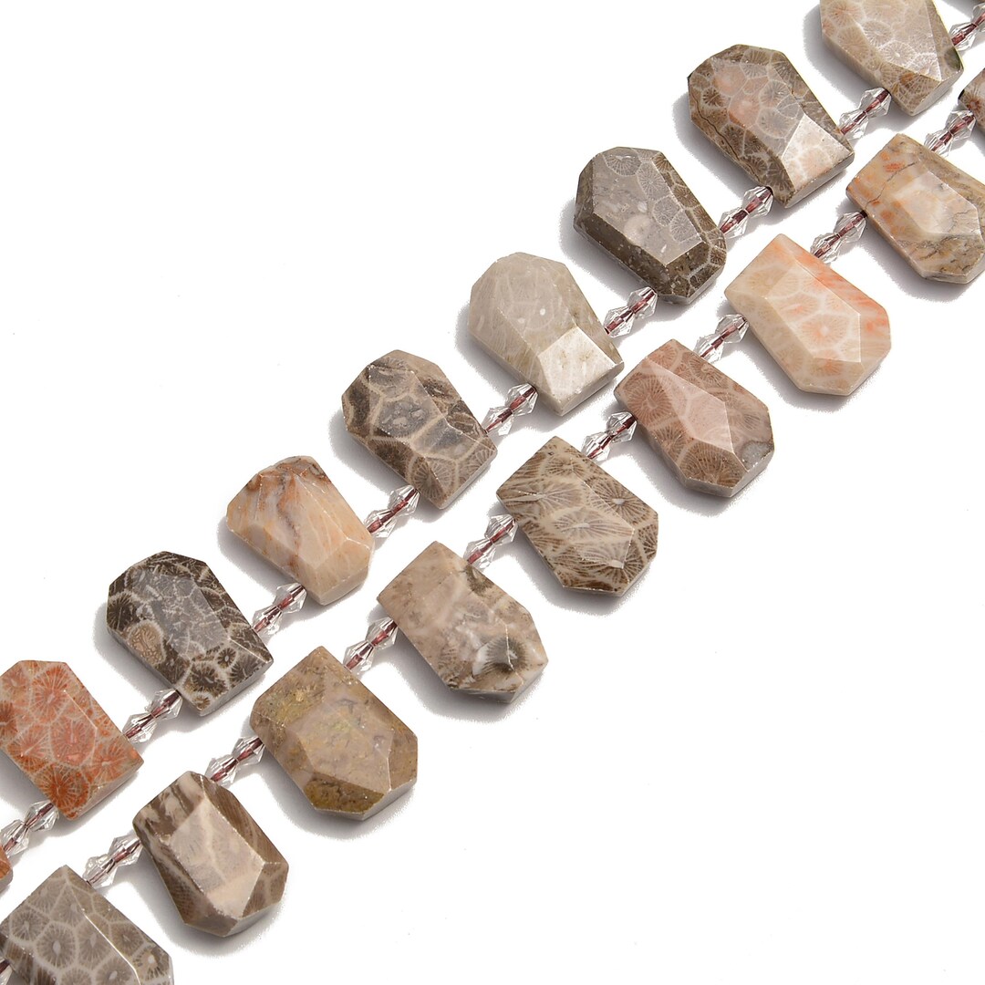 Fossil Coral Faceted Trapezoid Shape Beads Approx 15x22mm 15.5" per ...