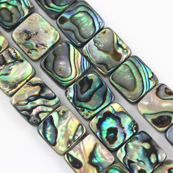 Abalone - Etsy