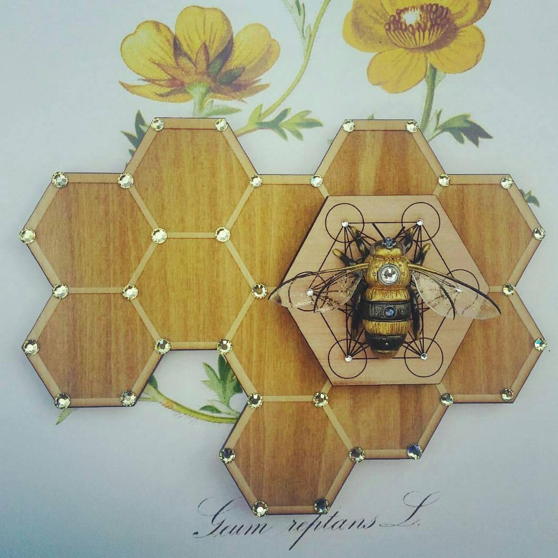Honeycomb Laser Etched Wood Grid ... Bee Honeybee Hive Hexagon - Etsy