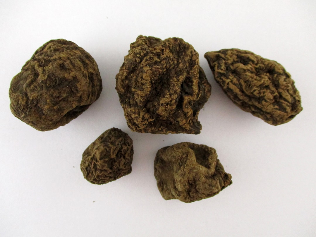 High John the Conqueror Root - Whole Root - Remove Obstacle Curse ...