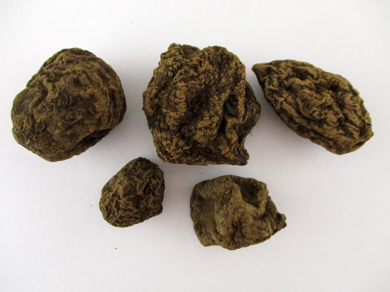 High John the Conqueror Root - Whole Root - Remove Obstacle Curse ...