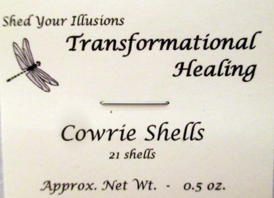 Cowrie Shells Set of 21 - Divination Shells Magical Offerings Orisha ...