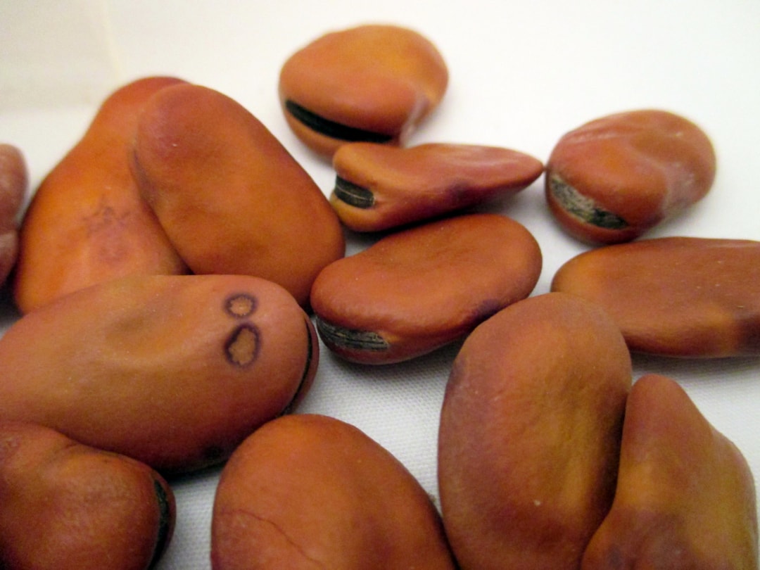 Mojo Wish Beans Set of 7 - Wishes Come True, Dream Magic, Good Luck ...