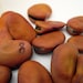 Mojo Wish Beans Set of 7 - Wishes Come True, Dream Magic, Good Luck ...