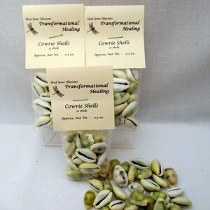 Cowrie Shells Set of 21 - Divination Shells Magical Offerings Orisha ...