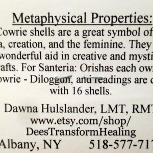 Cowrie Shells Set of 21 - Divination Shells Magical Offerings Orisha ...