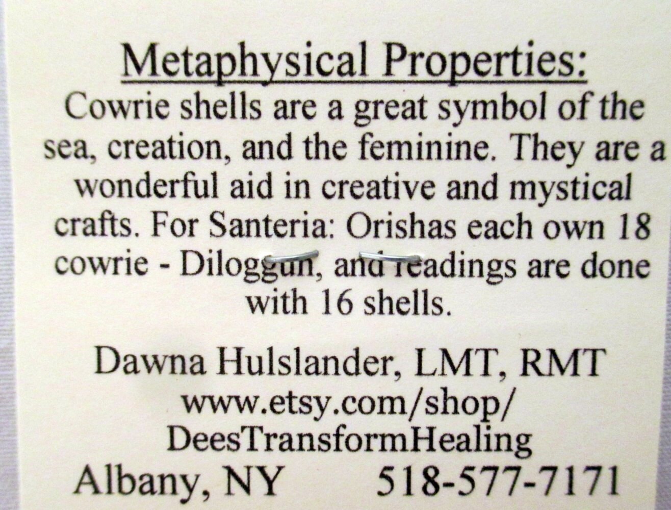 Cowrie Shells Set of 21 - Divination Shells Magical Offerings Orisha ...