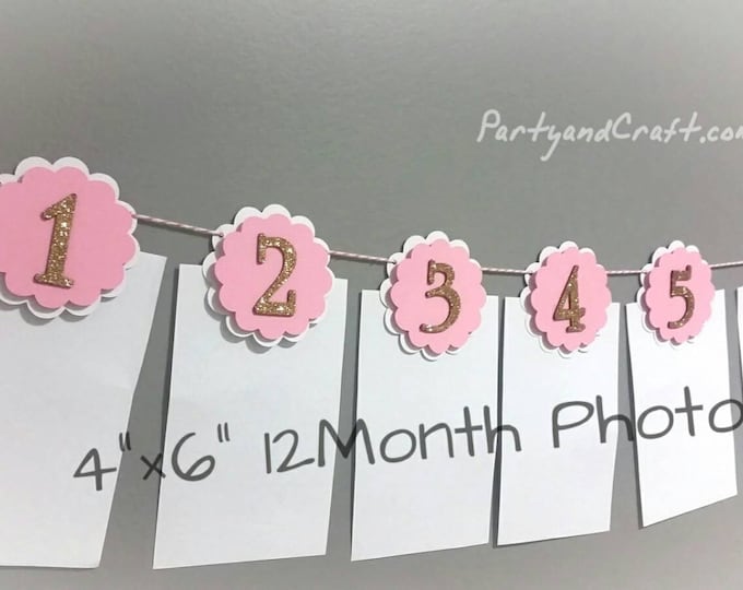 12month Photo, 12 Month Photos, Monthly Photo for the First Year, Photo ...