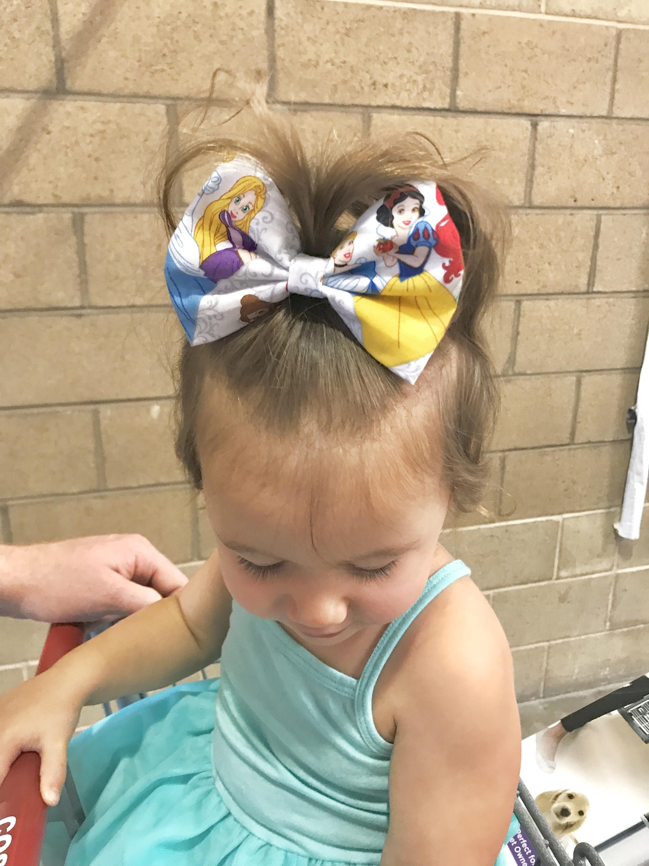 Princess Bows Disney Princess Bow - Etsy
