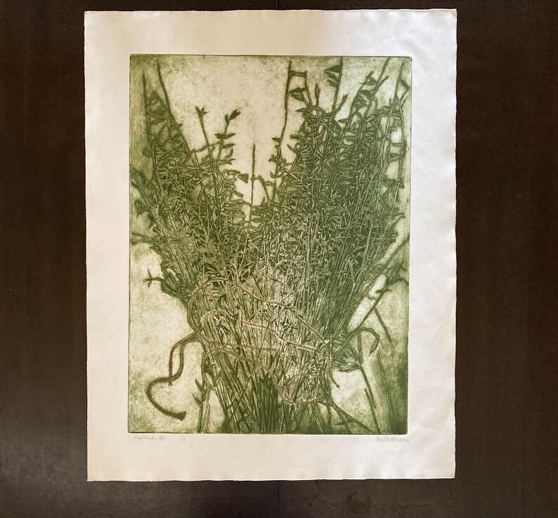 Foxtail Grass Plant Etching 23.5 X 17.5 ORIGINAL - Etsy