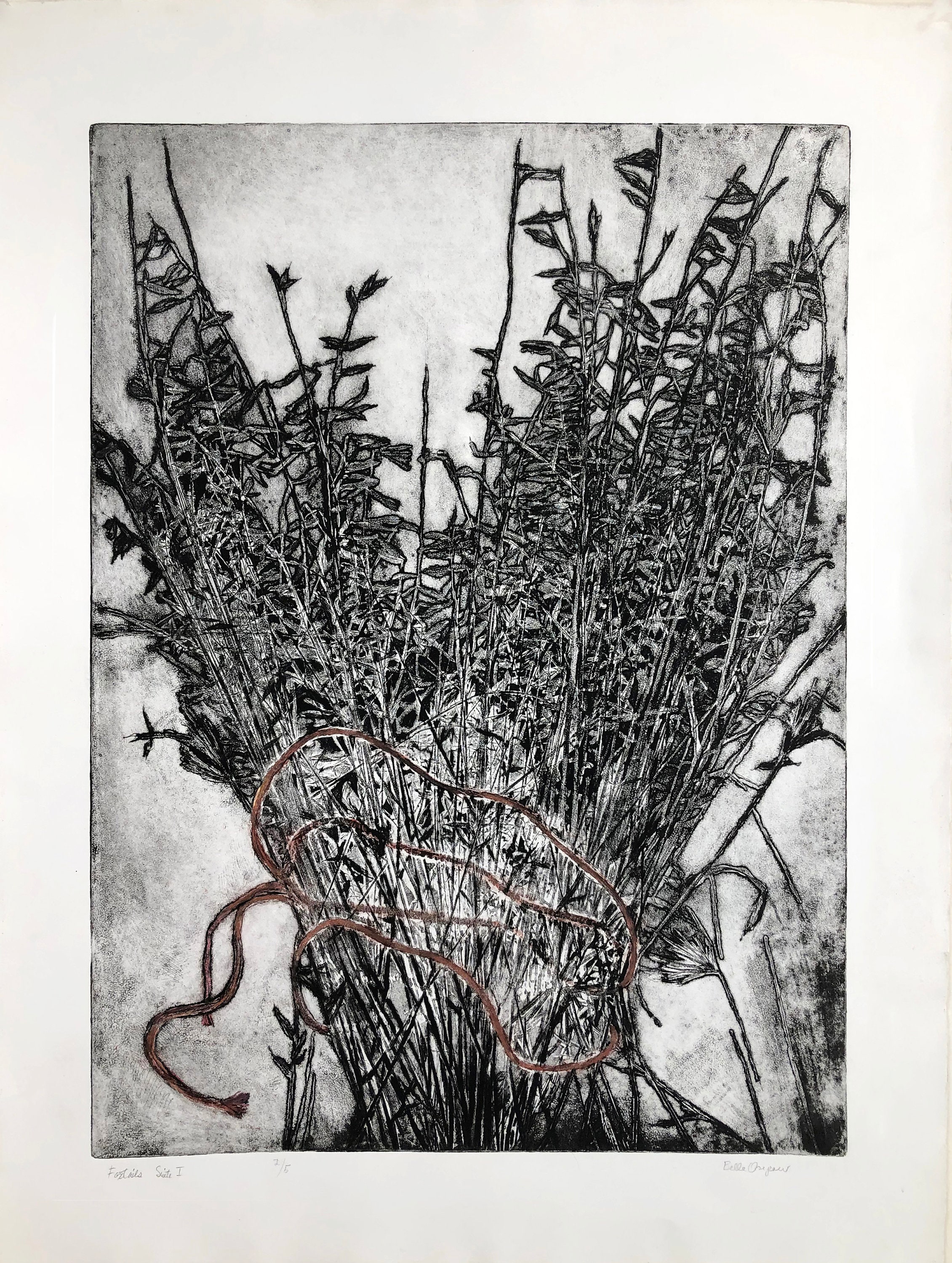 Foxtail Grass Plant Etching, 23.5” X 17.5", ORIGINAL! Home Decor, Wall ...