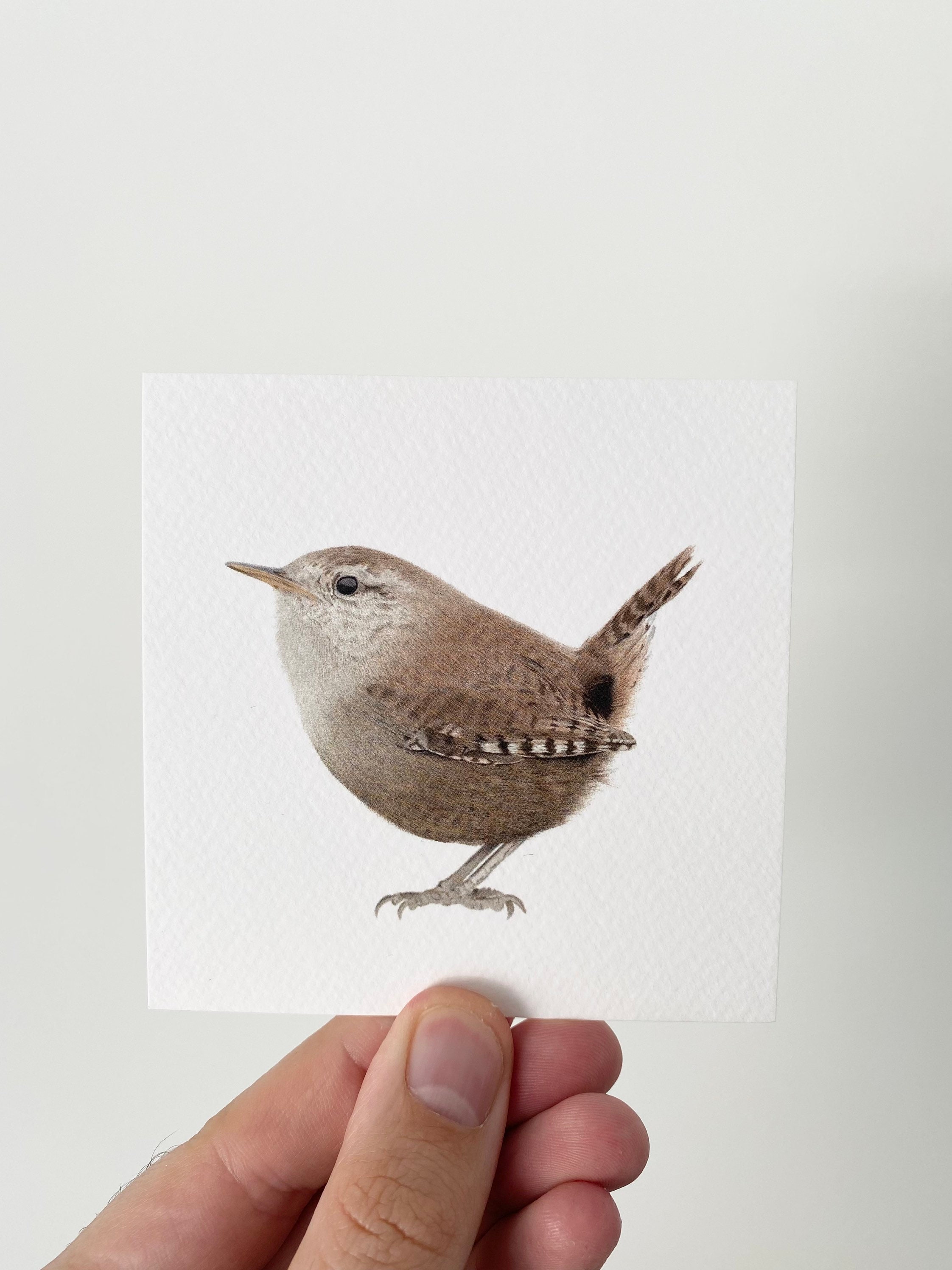 Wren Illustration Print Wren Wren Gift Wildlife - Etsy 日本