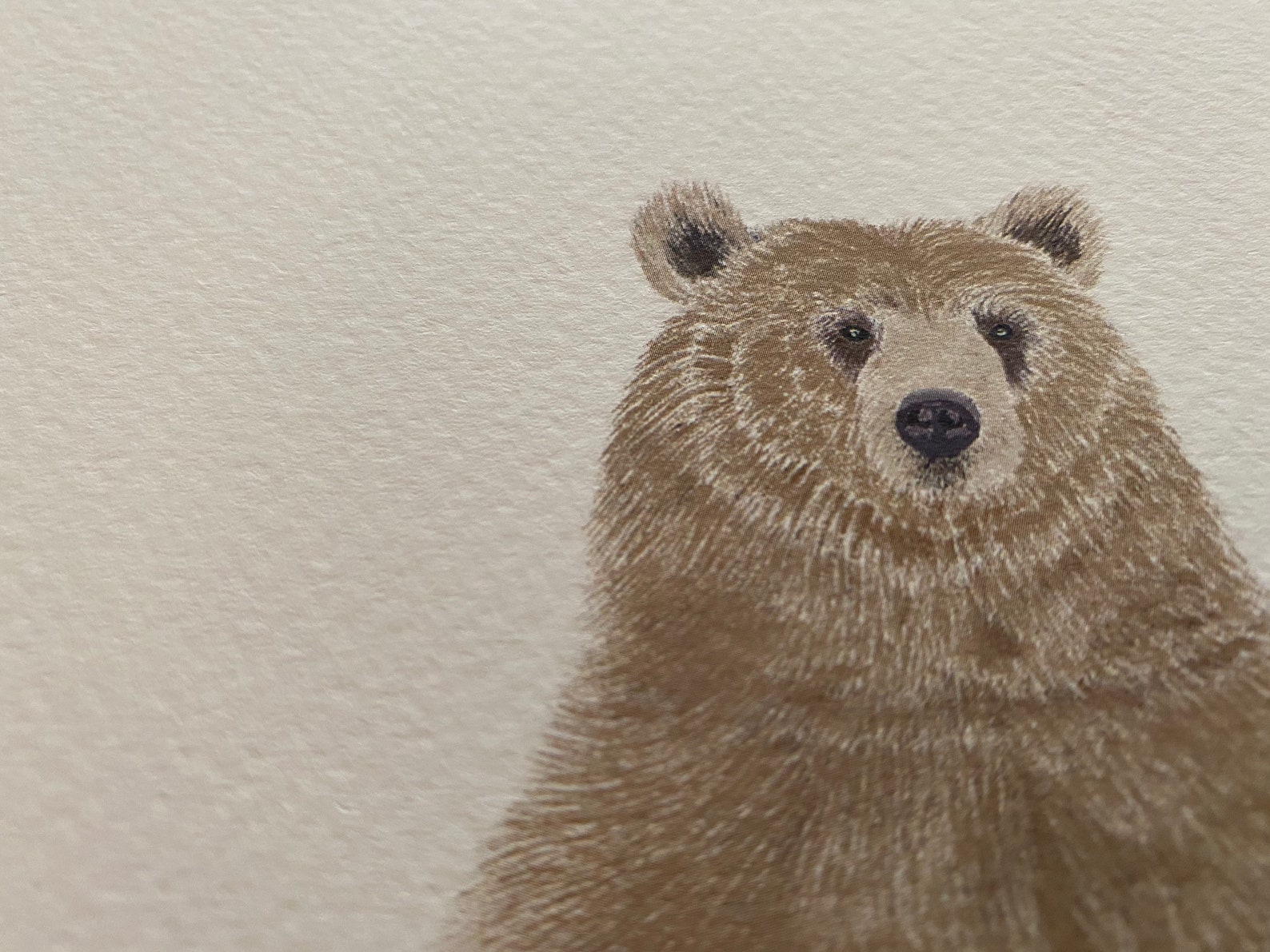 Brown Bear Illustration Print | Illustrated Print | Bear Illustration ...