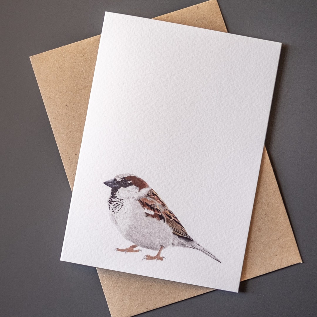 A6 Illustration Sparrow Greeting Card | Illustrated Greeting Card ...