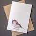 A6 Illustration Sparrow Greeting Card | Illustrated Greeting Card ...