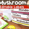 Editable Daily Schedule Cards Mushroom Retro Classroom Decor Printable ...