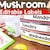 Mushroom Classroom Decor Bundle Classroom Decorations Retro Classroom ...