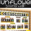 Sound Wall Classroom Posters | Rainbow Classroom Decor | Phonics ...