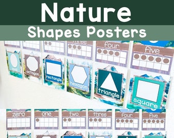 2D and 3D SHAPES POSTERS for Classroom, Set of 21 Printable Woodland ...