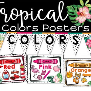 PRINTABLE Color Posters Pack Tropical Classroom Decor - Etsy