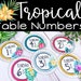 PRINTABLE Neutral Clock Label Numbers in 5 Minute Intervals Neutral ...