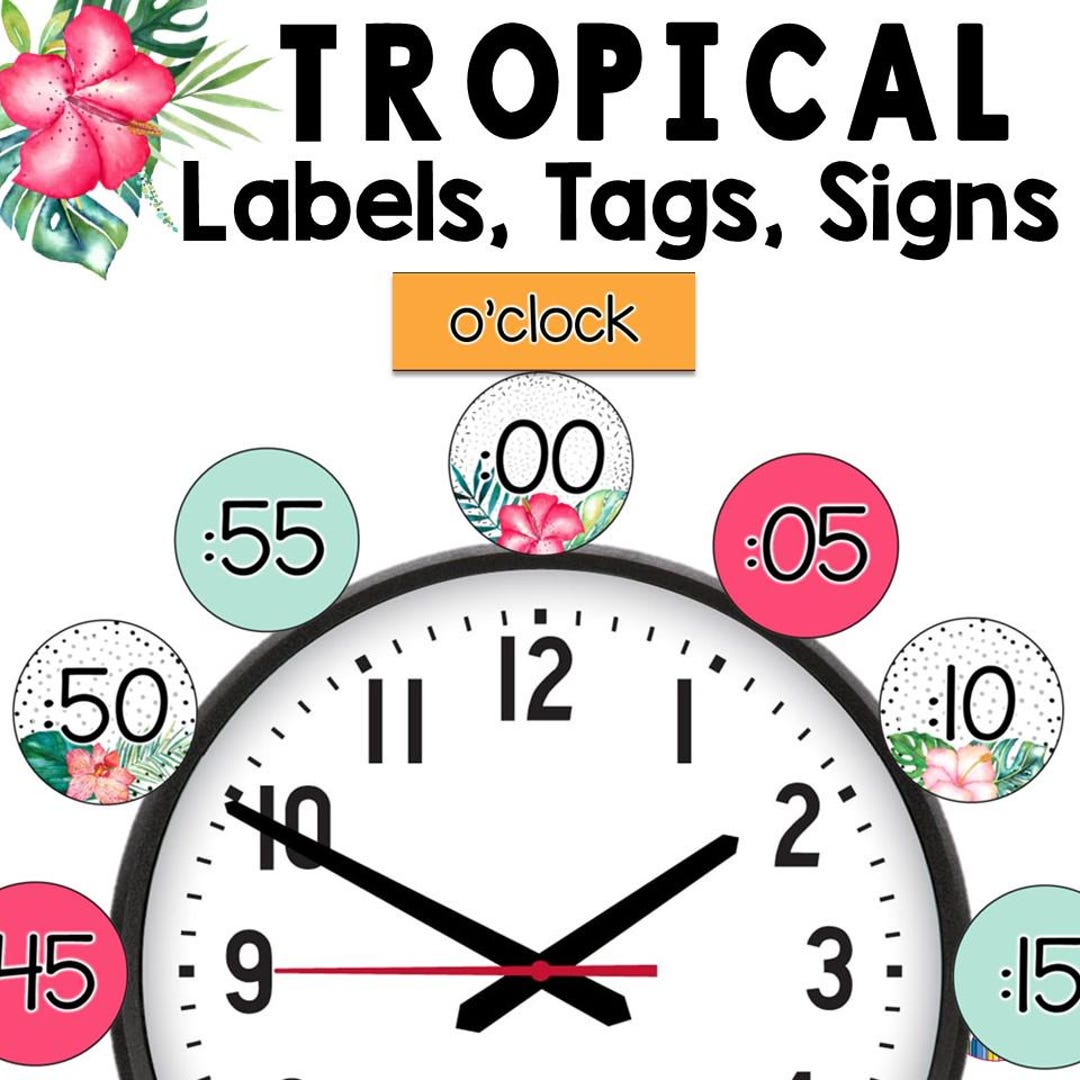 PRINTABLE Tropical Clock Label Numbers in 5 Minute Intervals | Tropical ...