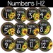 PRINTABLE Table Numbers Sunflower Farmhouse Classroom Decor Classroom ...