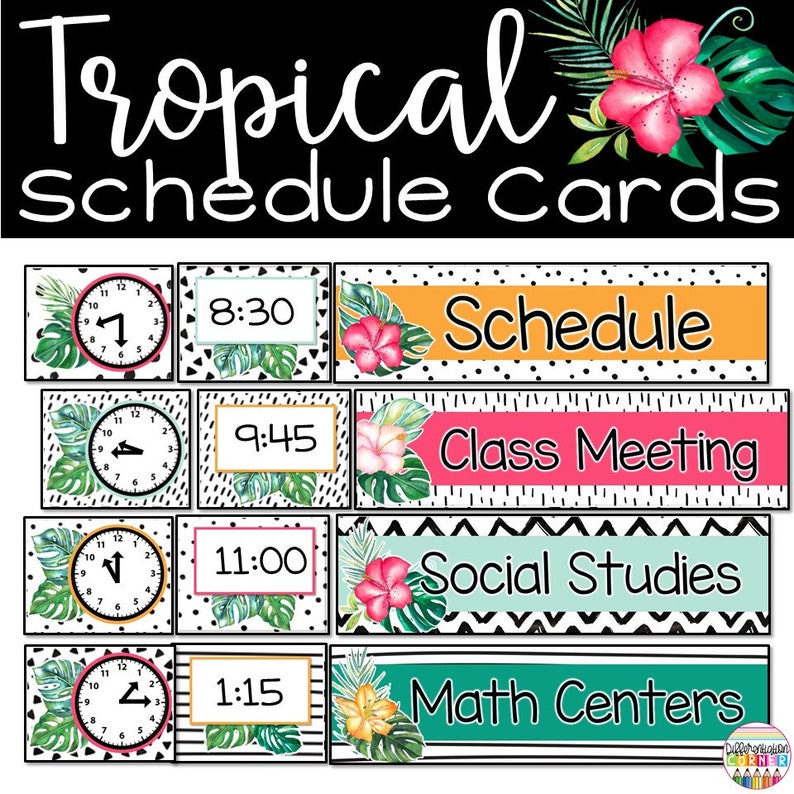 Editable Daily Schedule Cards Tropical Classroom Decor - Etsy