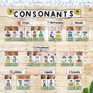 Sound Wall Classroom Posters | Sunflower Farmhouse Classroom Decor ...