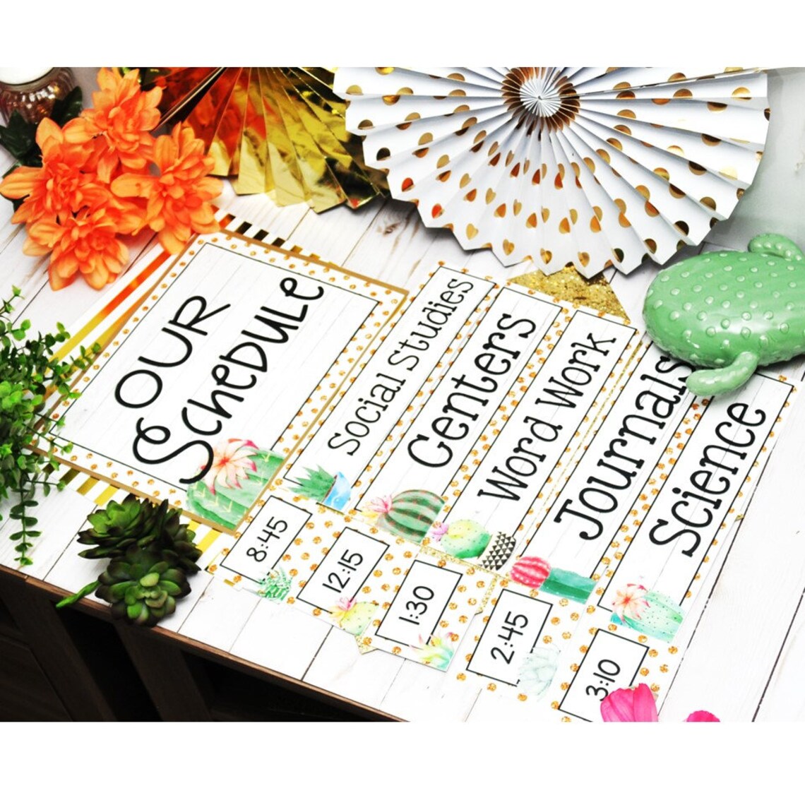 Editable Cactus Succulent Daily Schedule Cards Plant Classroom - Etsy