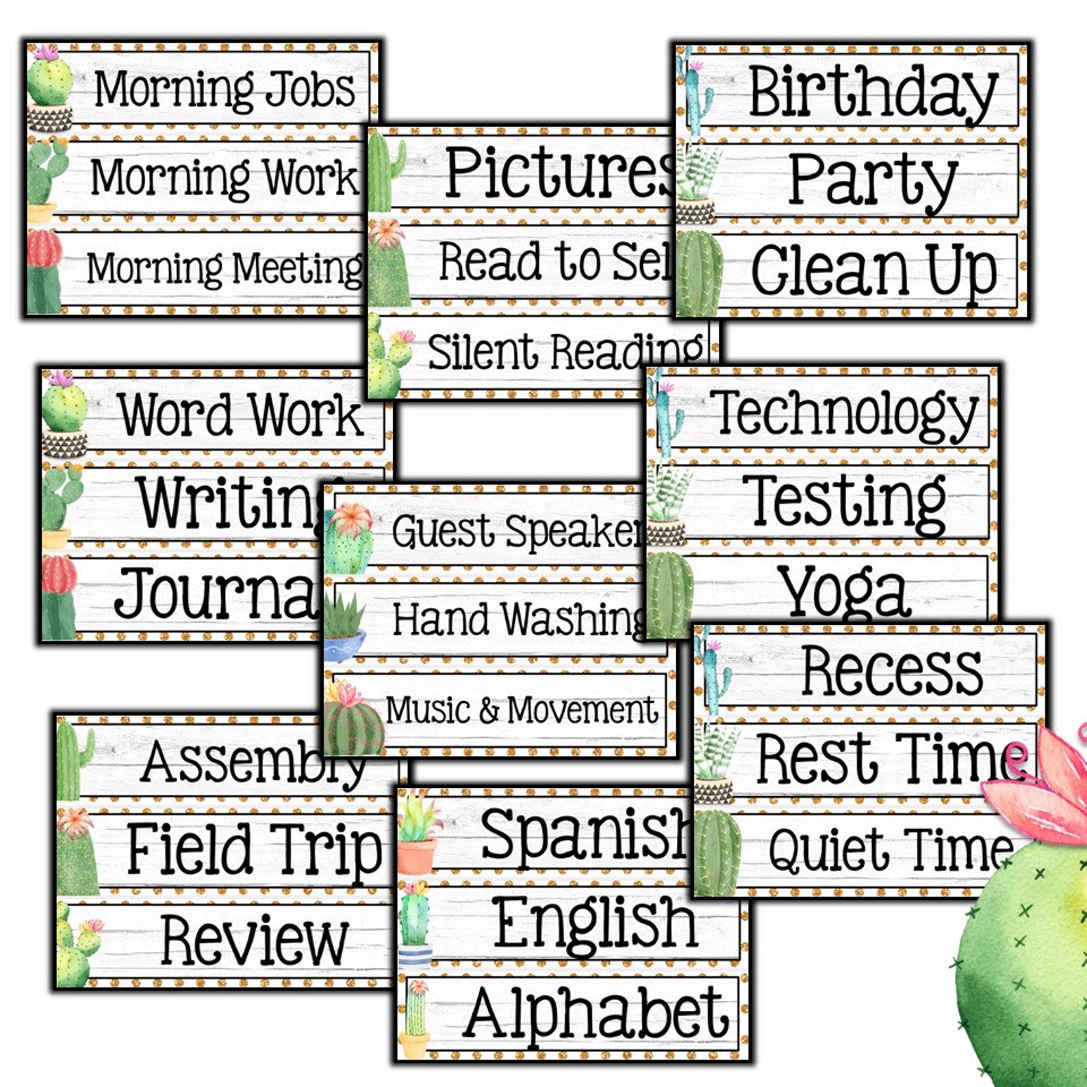 Editable Cactus Succulent Daily Schedule Cards Plant Classroom - Etsy