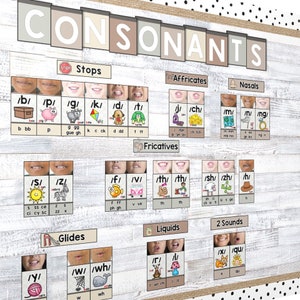 Sound Wall Classroom Posters | Boho Neutral Classroom Decor | Phonics ...