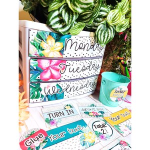 Editable Tropical Classroom Labels Tropical Classroom Decor Tropical ...