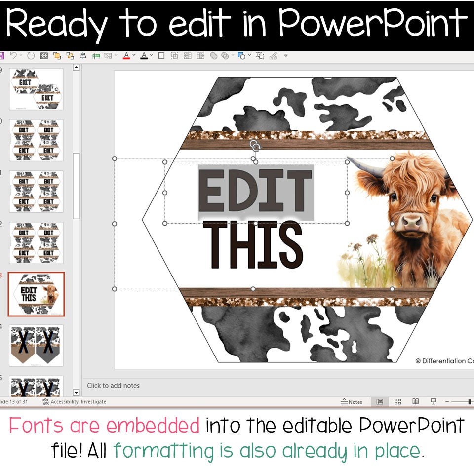 Cow Print Classroom Birthday Display Farmhouse Classroom Decor Cow ...