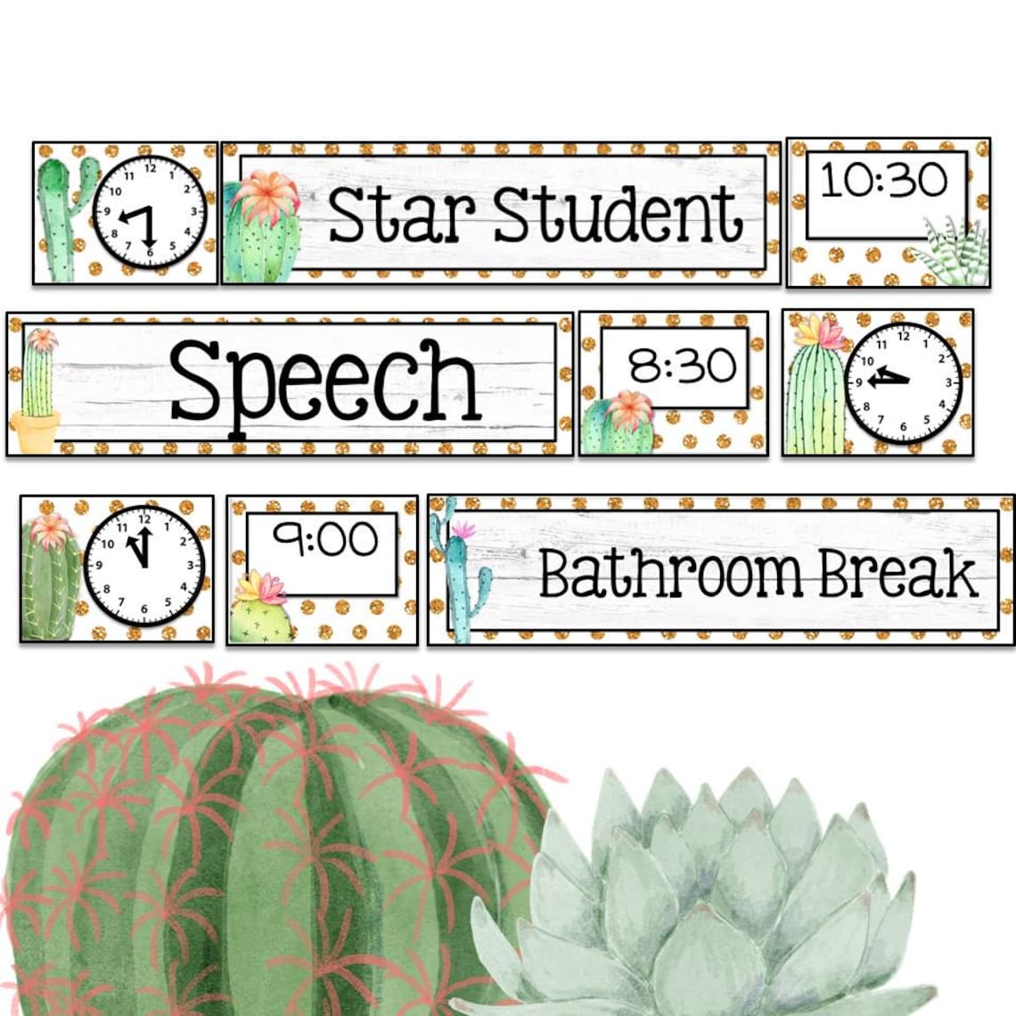 Editable Cactus Succulent Daily Schedule Cards Plant Classroom Decor ...