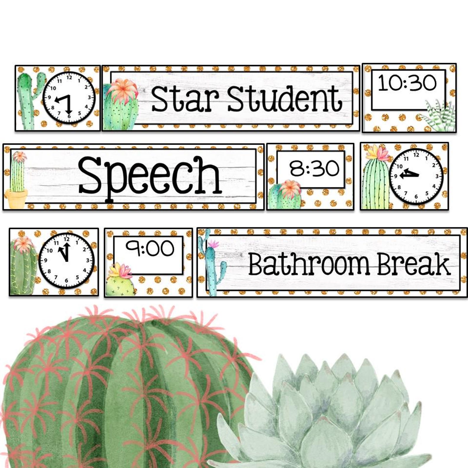 Editable Cactus Succulent Daily Schedule Cards Plant Classroom Decor ...