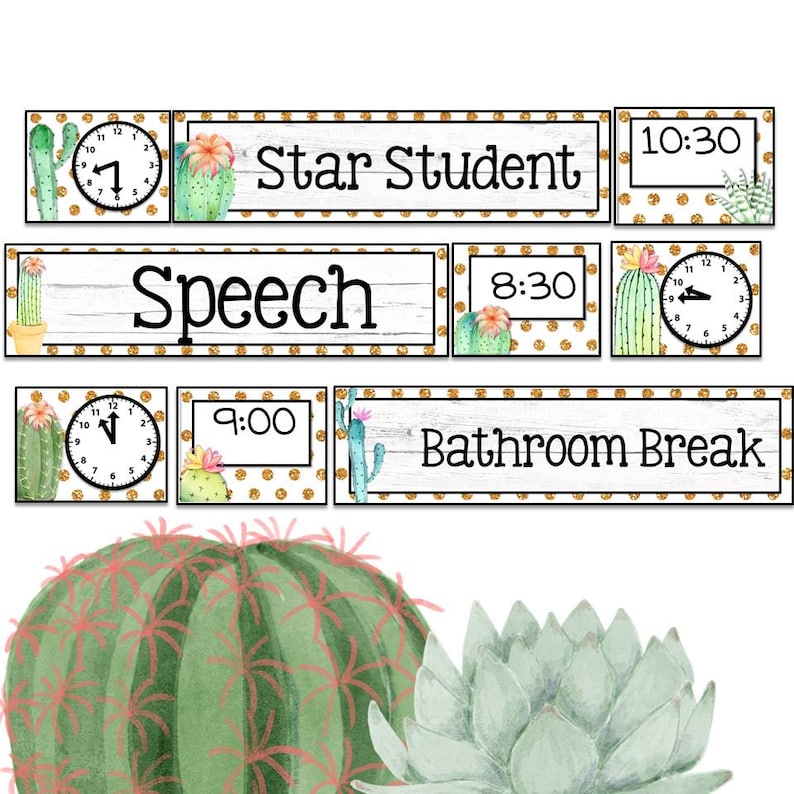 Editable Cactus Succulent Daily Schedule Cards Plant Classroom Decor ...