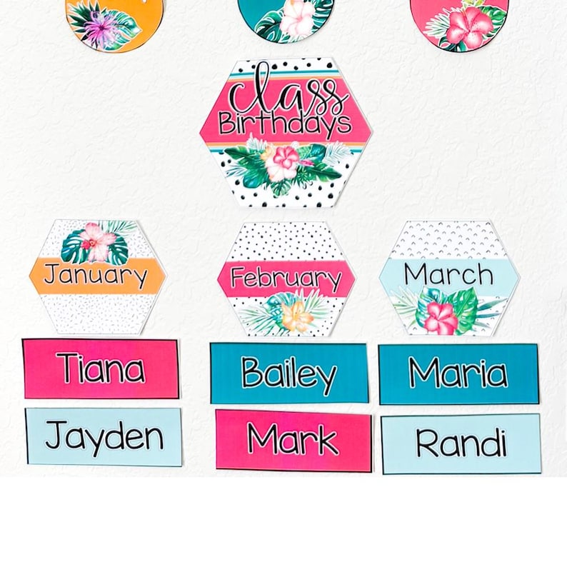 Tropical Classroom Birthday Display | Tropical Classroom Decor ...