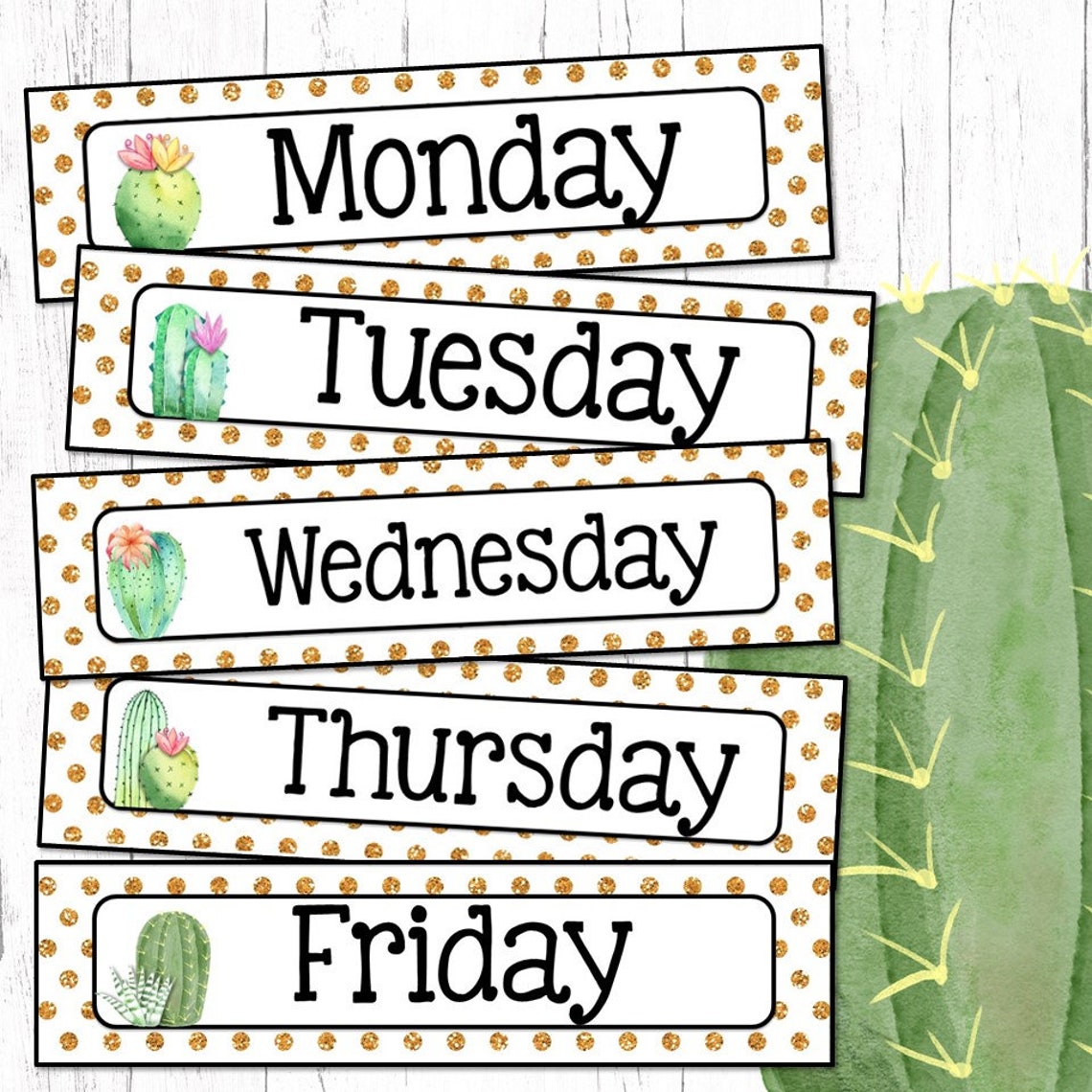Editable Cactus Classroom Labels Cactus Classroom Decor - Etsy