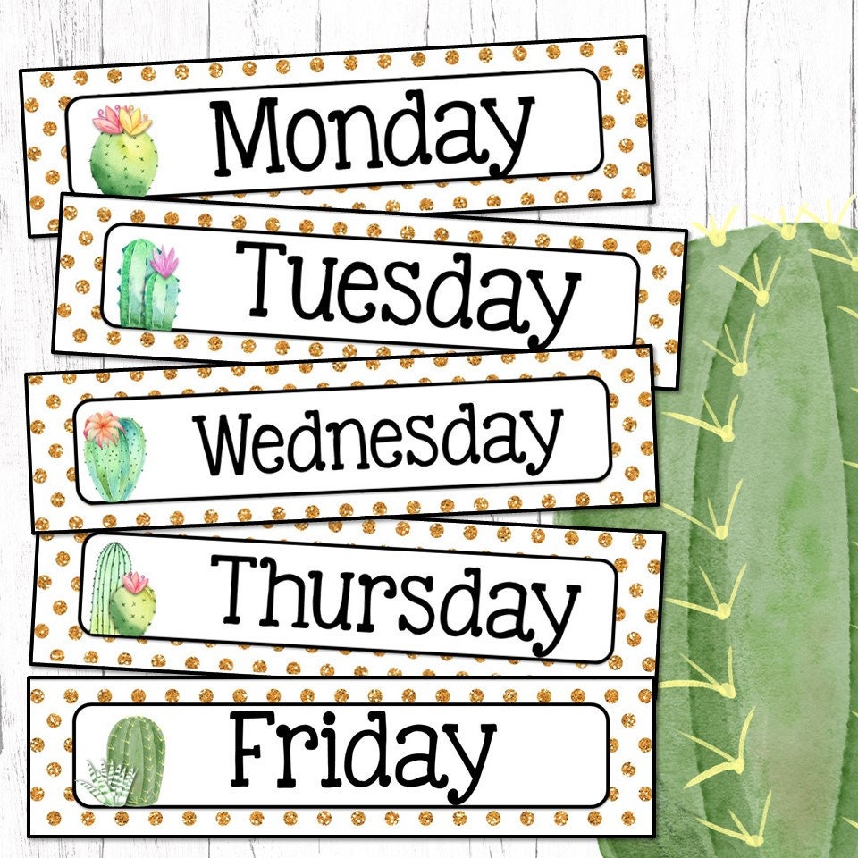Editable Cactus Classroom Labels Cactus Classroom Decor - Etsy